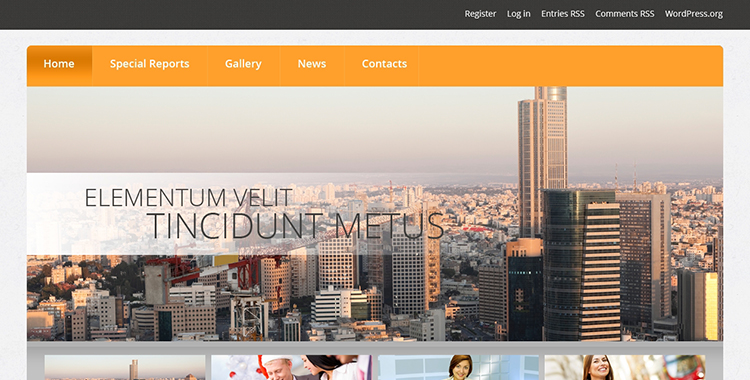 Professional logo and identity design services - Solitaire Infosys