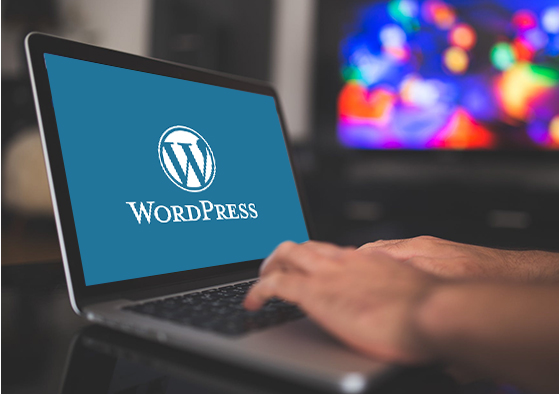 Customize Your WordPress Theme With Solitaire Infosys